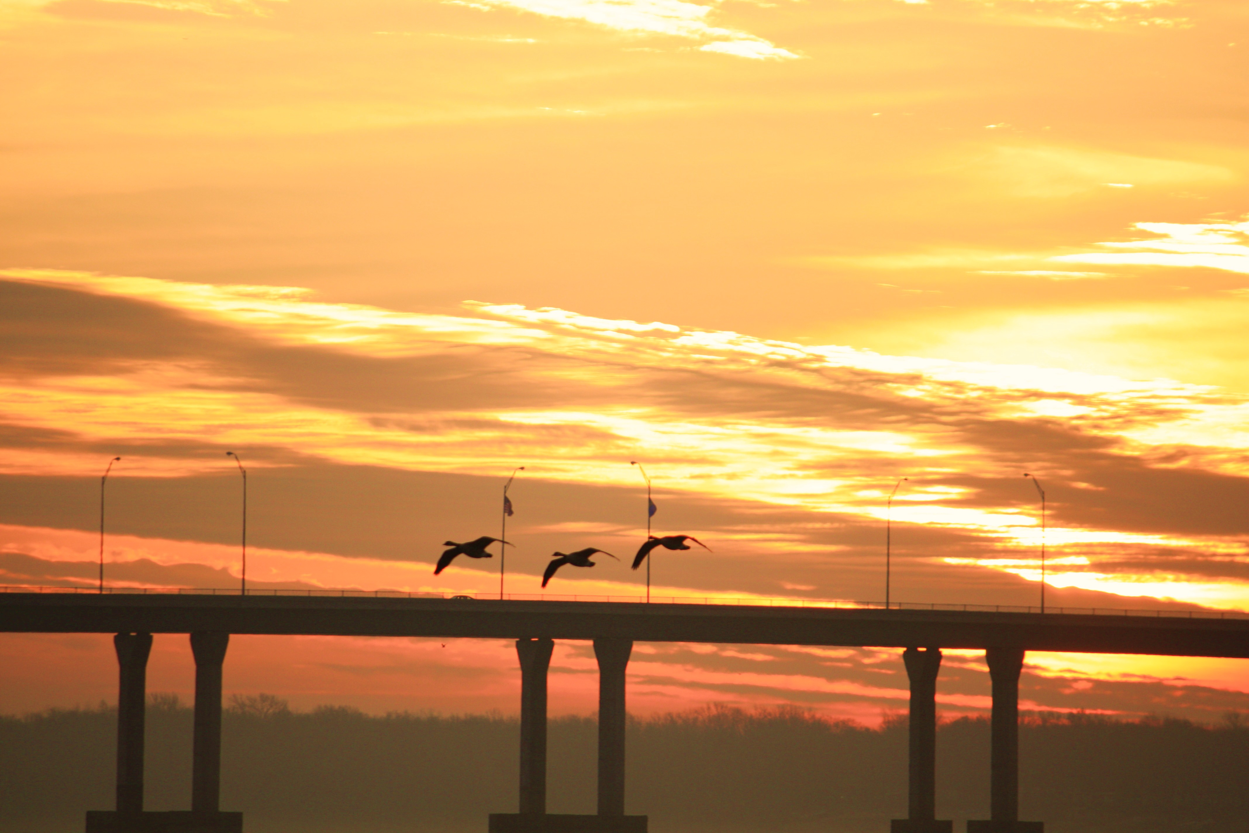 Sailboat Bridge Album | City of Grove Oklahoma