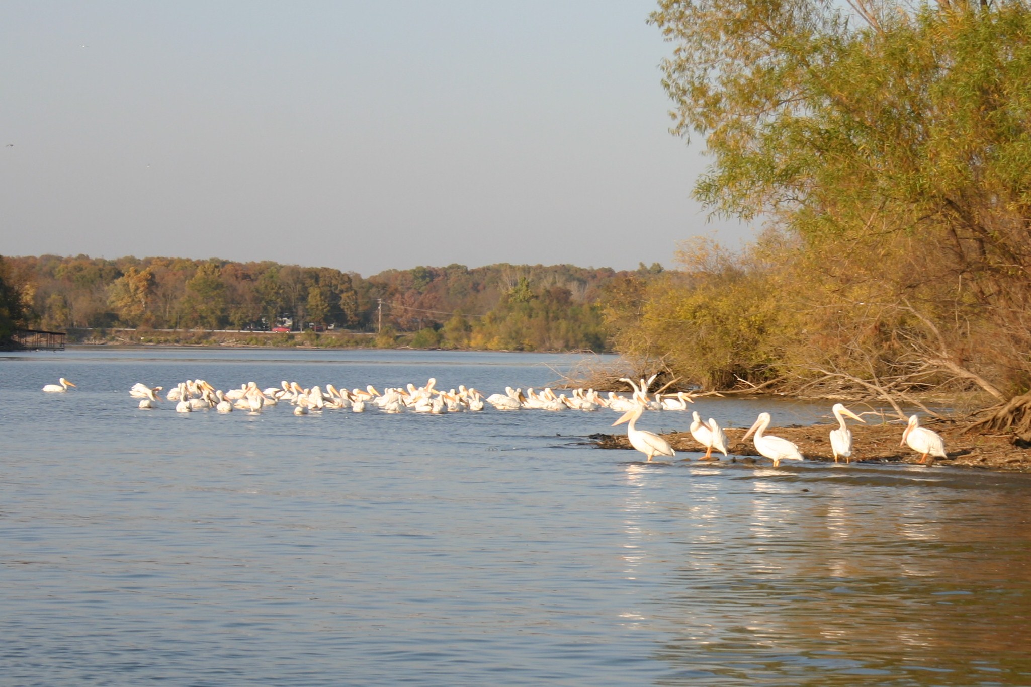 Grove-Grand Lake Album | City of Grove Oklahoma