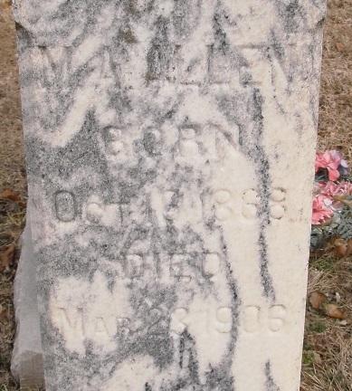 Allen, M. A. | City of Grove Oklahoma