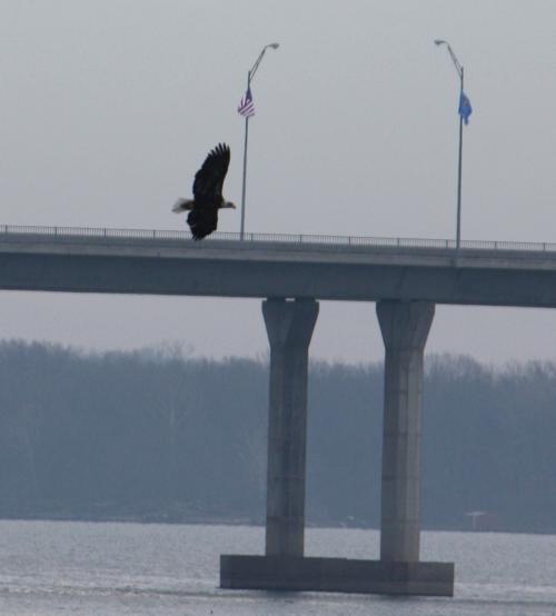 Sailboat Bridge Album | City of Grove Oklahoma